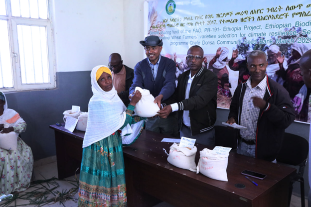 Participatory Wheat Farmers’ varieties selection for climate resilience ...